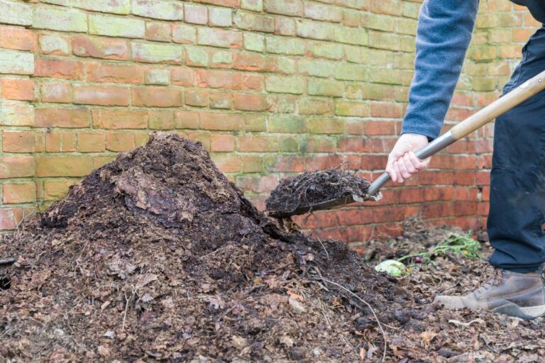 The Benefits of Using Leaf Mould in Your Garden